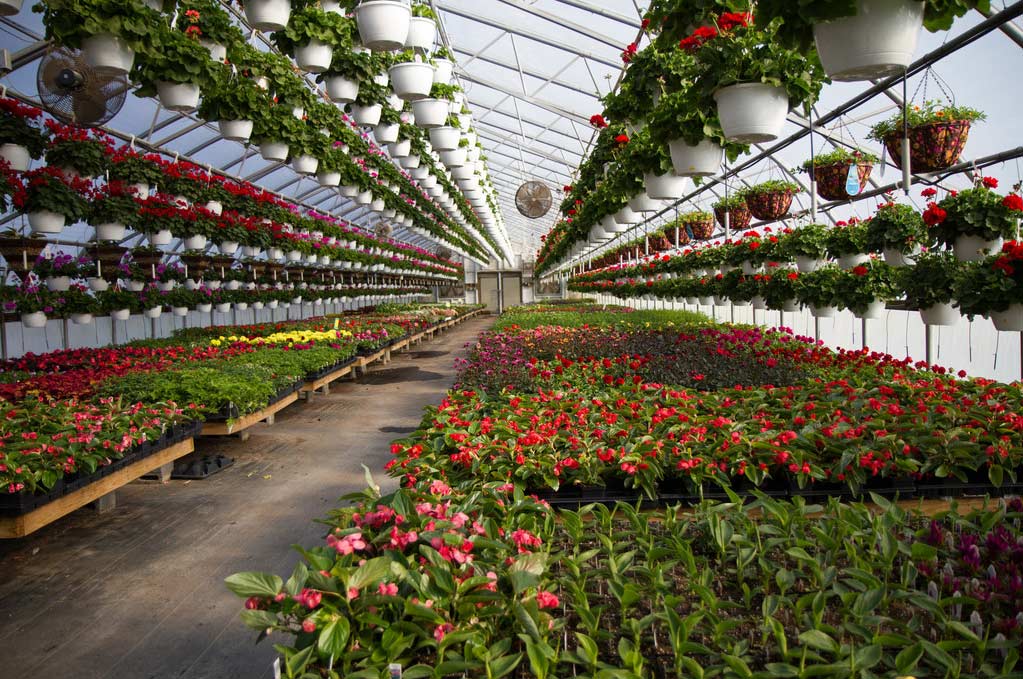 Passion horticulture : tout sur le métier & sur ce secteur d'activité